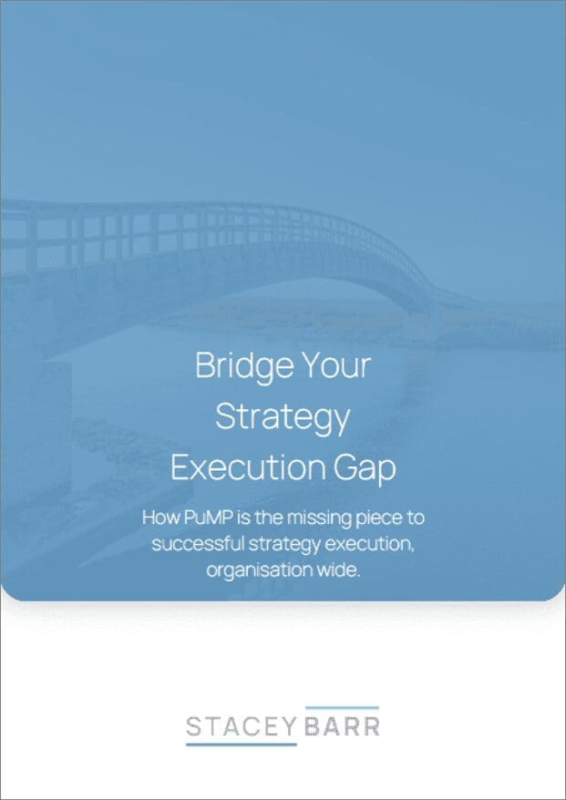Bridge Your Strategy-Execution Gap - PuMP Academy